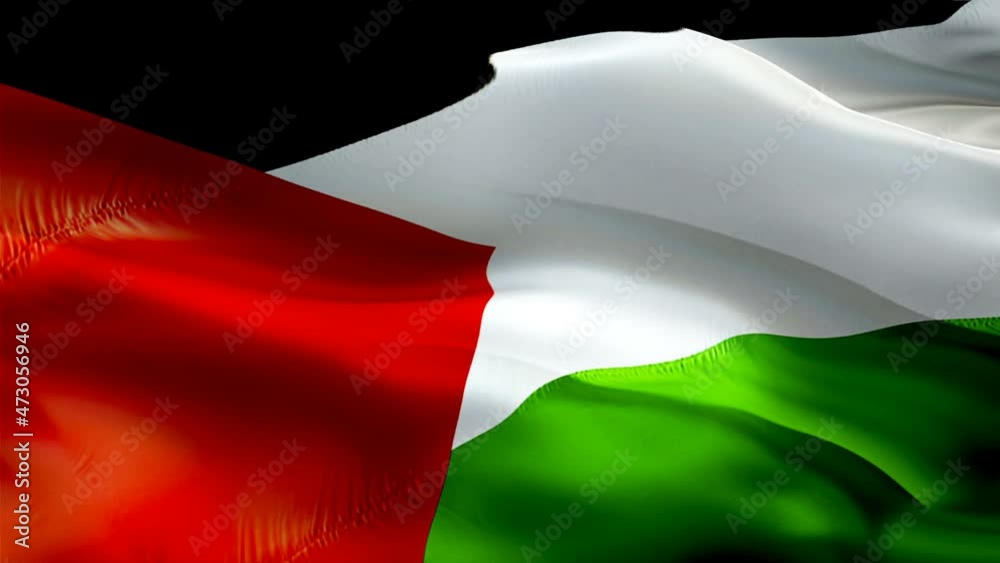 Palestinian flag. 3d Palestine sign waving video. Flag of Palestine ...
