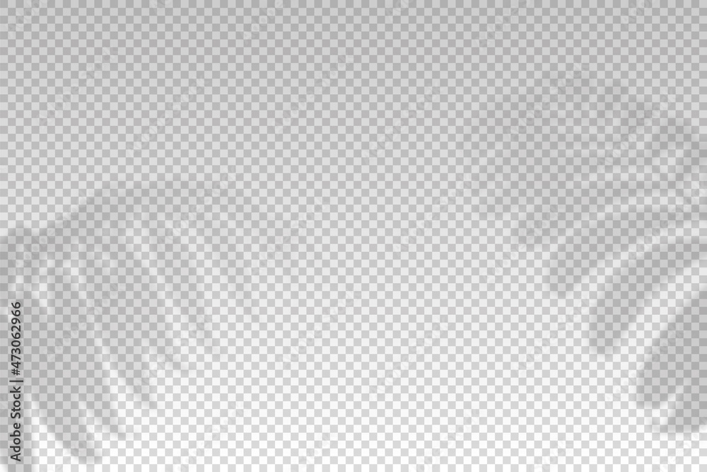 shadow, leaves, plant, window, light, leaf, overlay, png, transparent ...