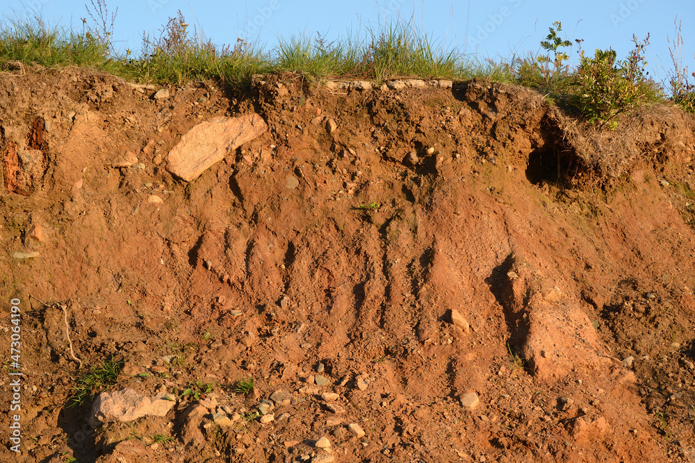 Texture layers of earth. Cross section of green grass and underground ...