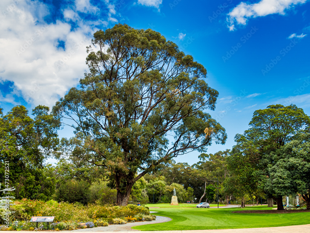 Foto de Kings Park and Botanical Garden is a 400.6-hectare park ...