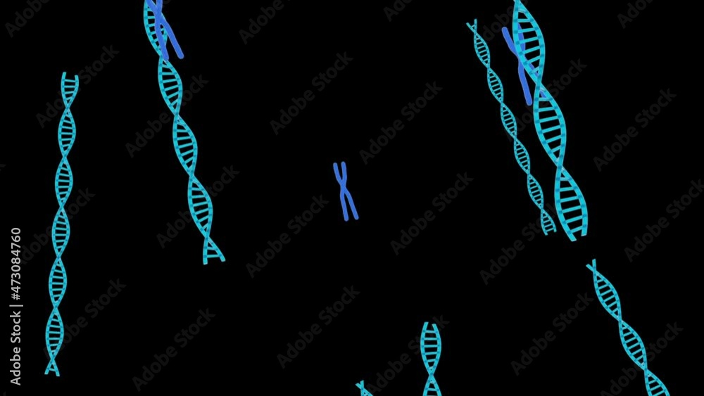 Blue neon DNA helices, chromosomes and red coronavirus bacteria move ...
