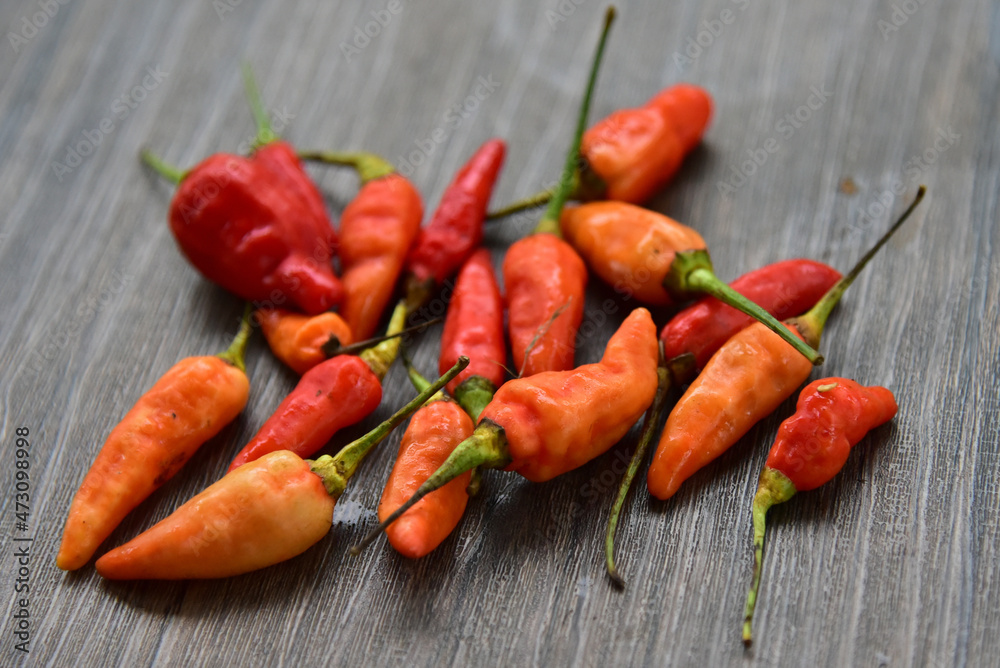 Capsicum frutescens is a wild chili pepper having genetic proximity to ...