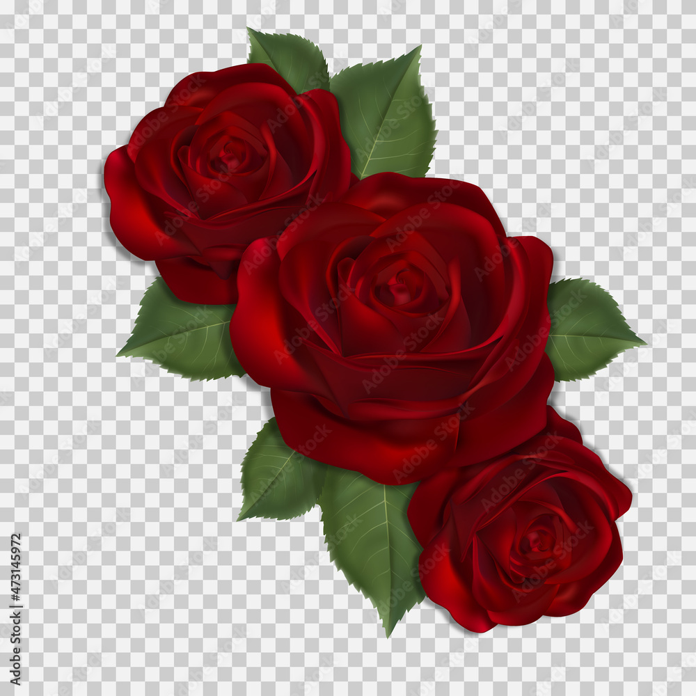 Vector three red roses PNG Stock Vector | Adobe Stock