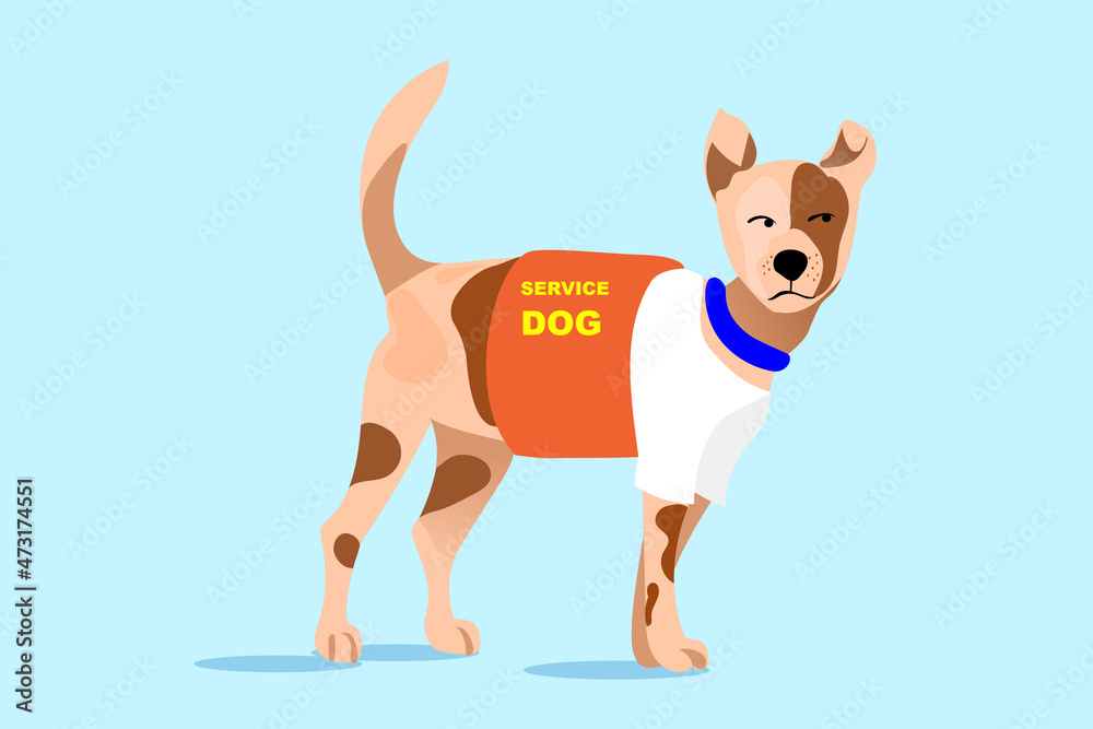 Service Dog with light blue background Stock Illustration | Adobe Stock
