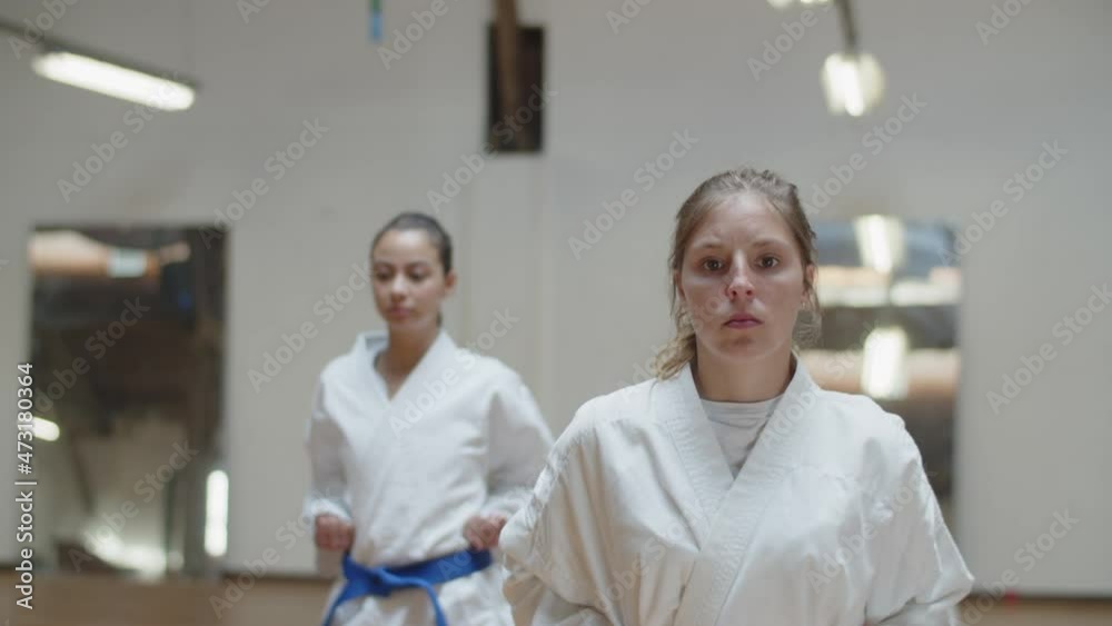 Front view of focused girls performing karate stances in gym. Medium ...