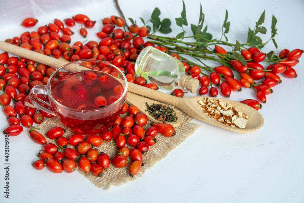 Dog rose, bunch branch Rosehips, types Rosa canina hips, essential oil ...
