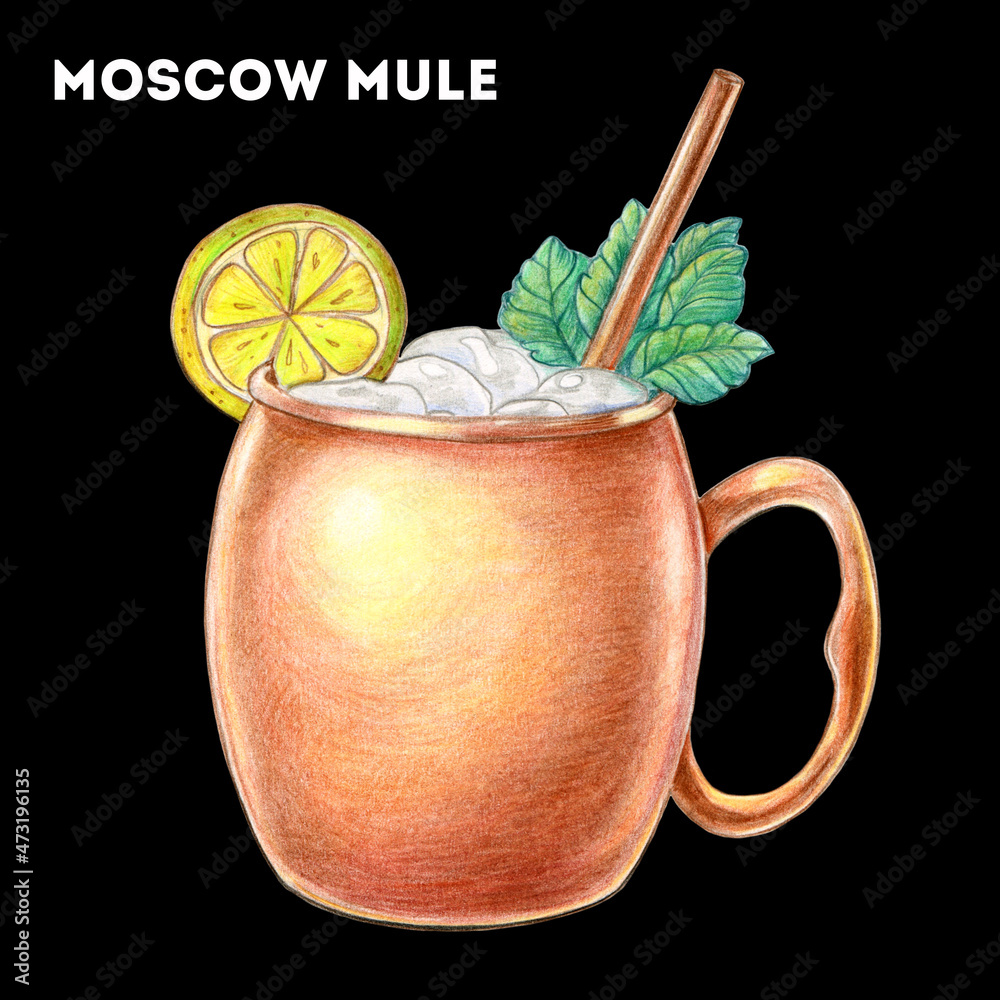 Moscow Mule cocktail illustration. Alcoholic cocktail hand drawn ...