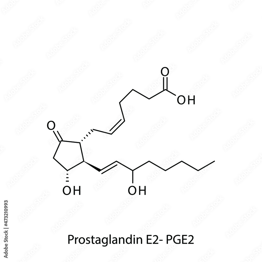 Prostaglandin E2 Prostaglandin biomolecule molecular formula. Skeletal ...