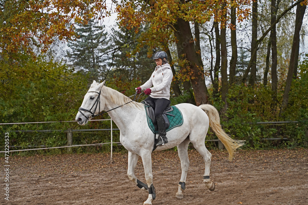 Training with the white horse on a riding ground in autumn Stock Photo ...