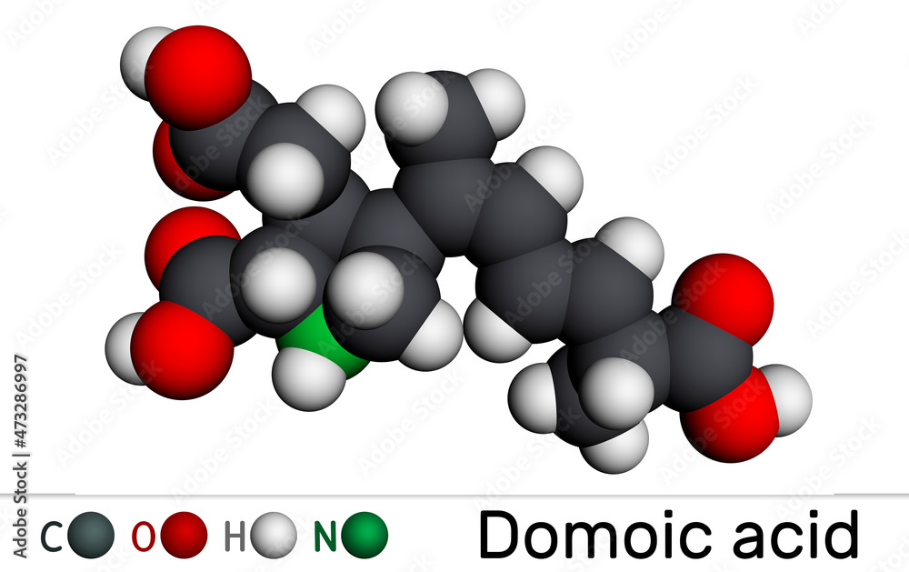 Domoic acid, DA neurotoxin molecule. It is analogue of kainic acid ...