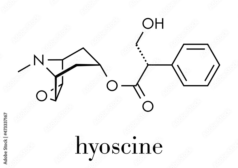 Scopolamine (hyoscine) anticholinergic drug molecule. Used in treatment ...