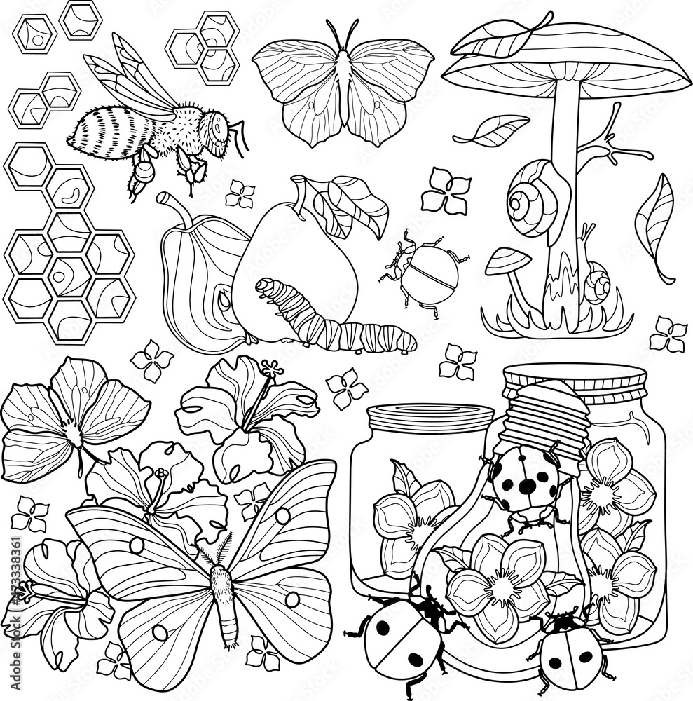 Coloring page for children and adults. Insects in nature Stock Vector ...