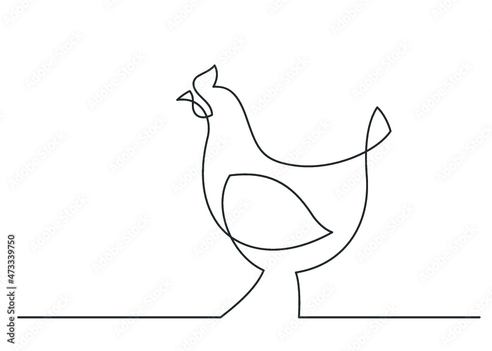Continuous line drawing of hen on white background. Vector illustration ...