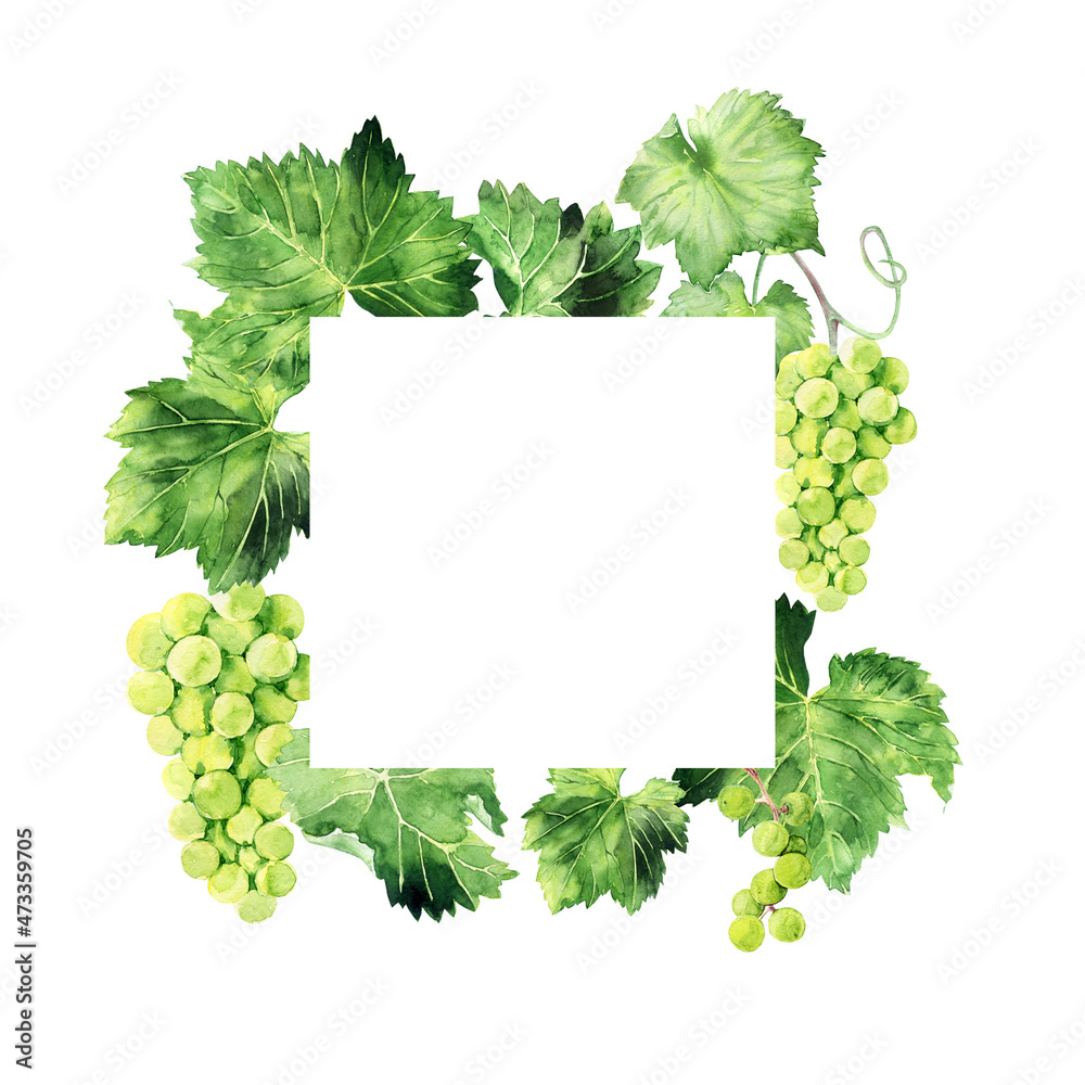 Watercolor frame with grape brushes, branches and leaves of various ...