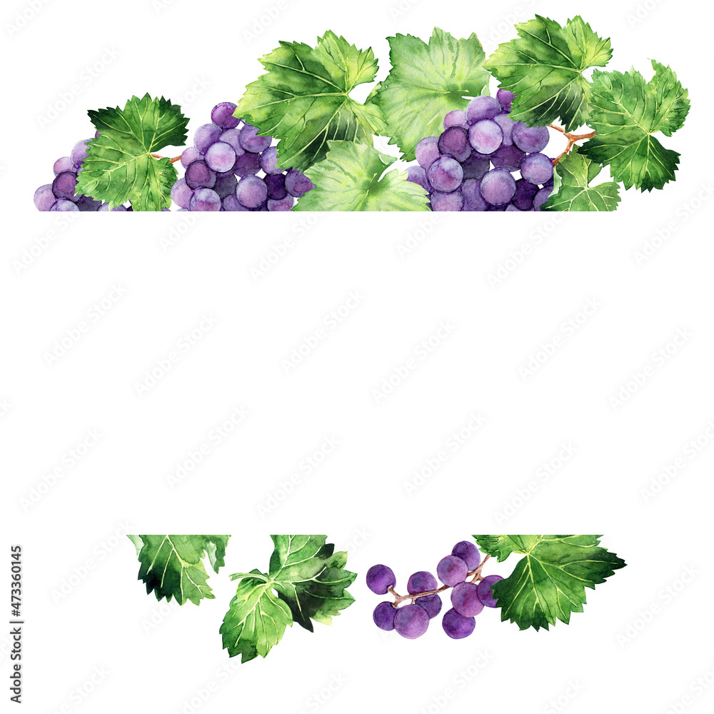 Watercolor frame with grape brushes, branches and leaves of various ...