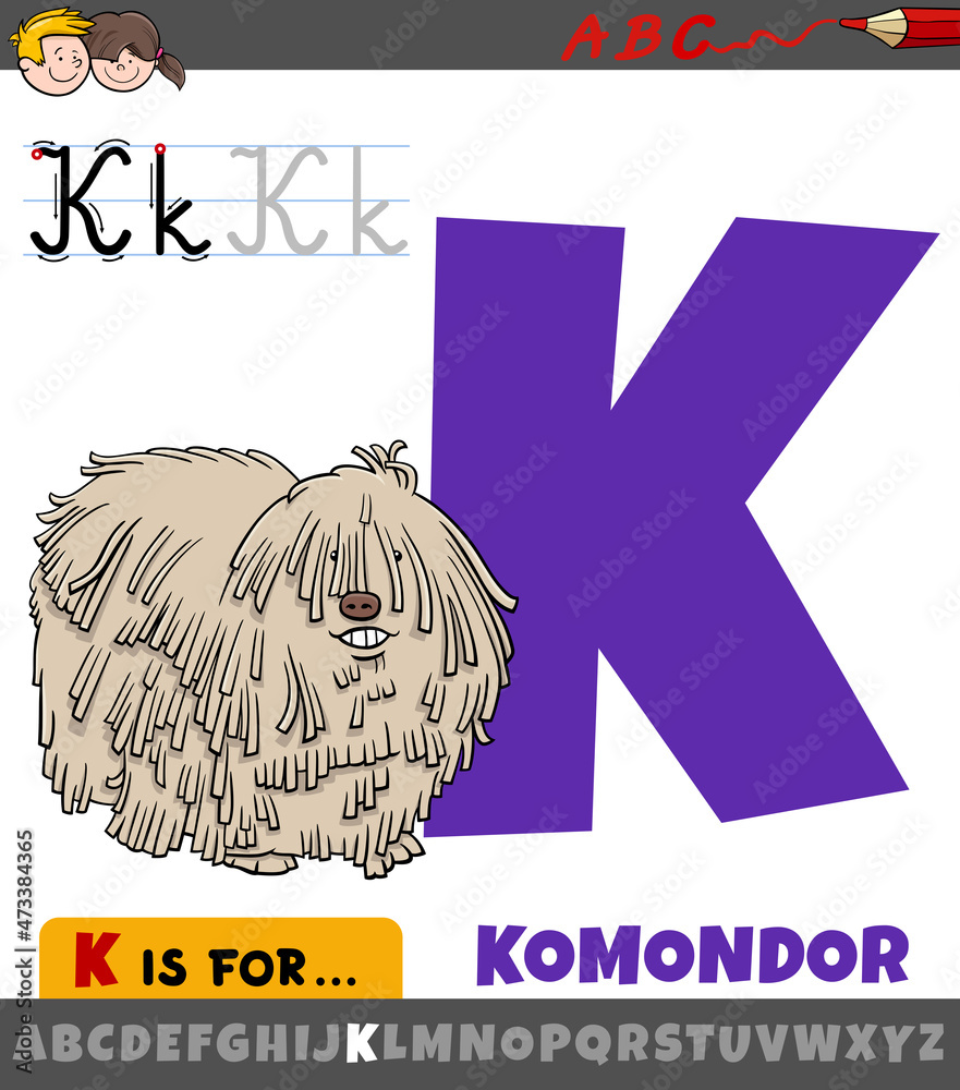 letter K from alphabet with cartoon komondor purebred dog Stock Vector ...