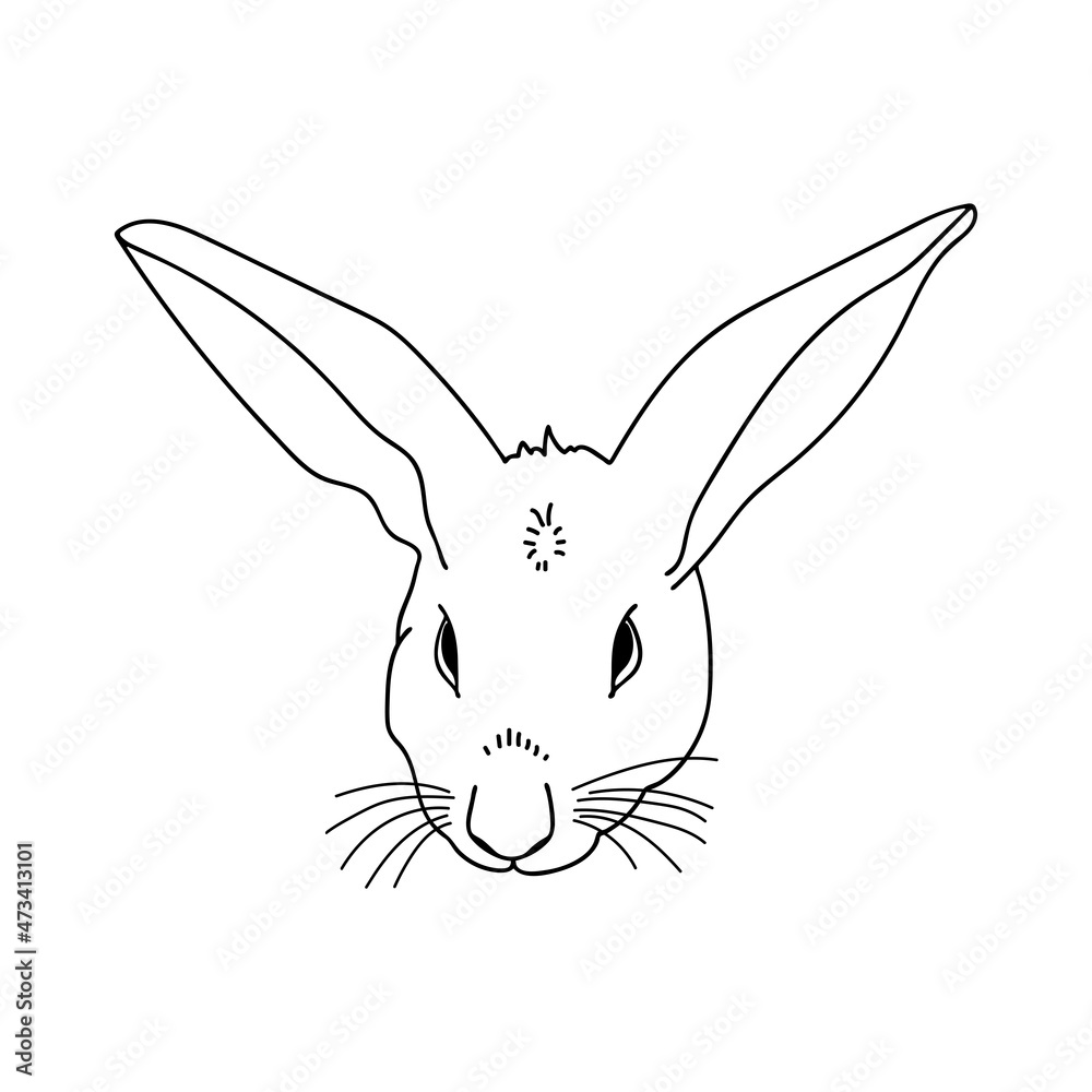 Rabbit thin line art. Home breeding of farm animals. Cute contour bunny ...