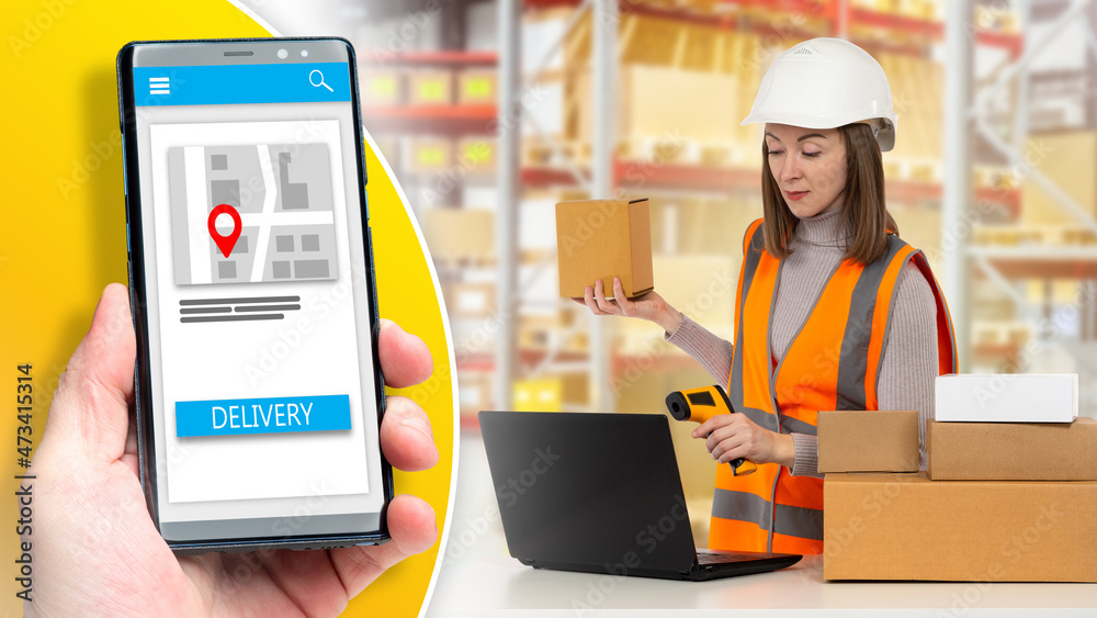 Delivery logistics. Phone delivery app. Girl in order fulfillment ...