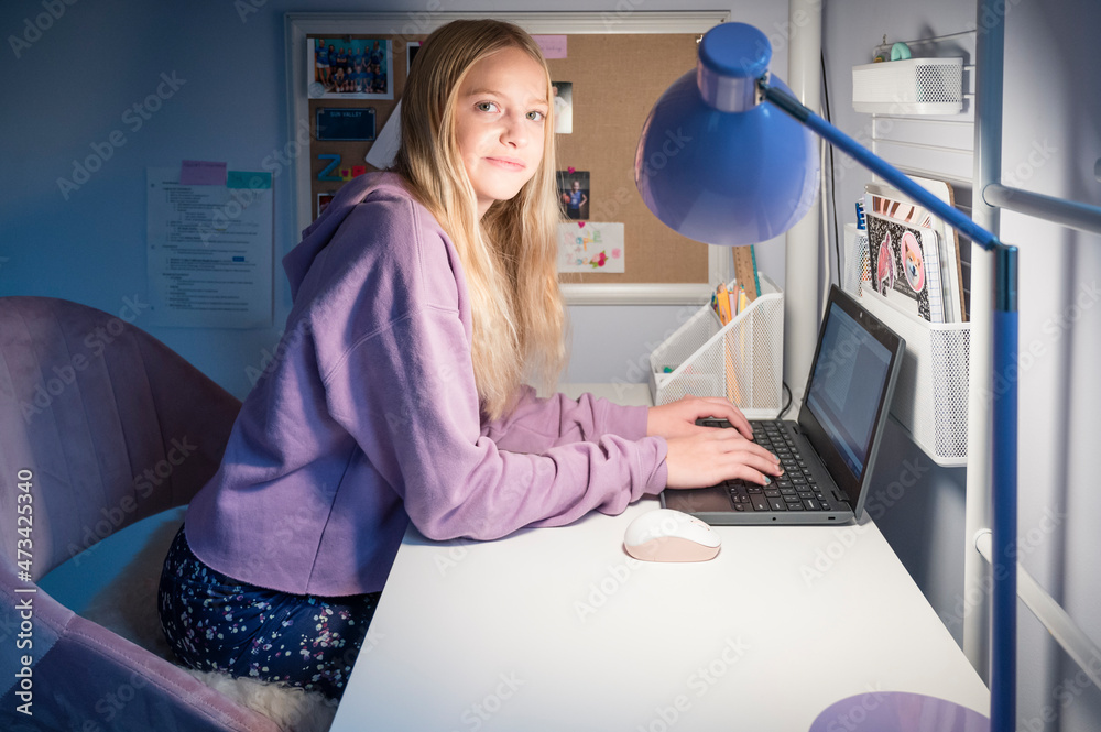 Tween/Teen Girl Attending Virtual School with Laptop at Home Stock ...