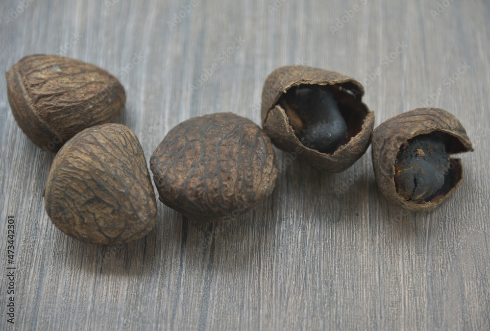 Pangium edule or Keluwak or Pucung in Indonesia language is tree native ...