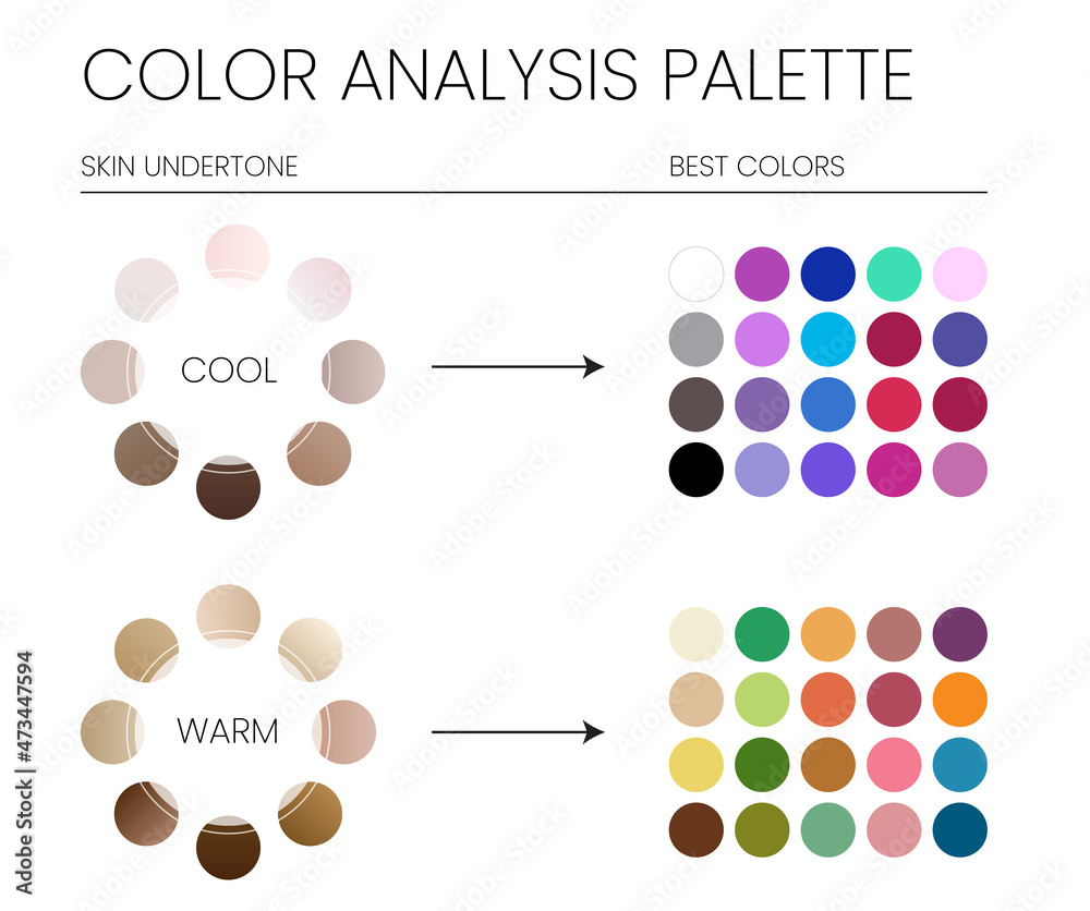 Color Analysis Palette by Cool and Warm Skin Undertones and the Best ...