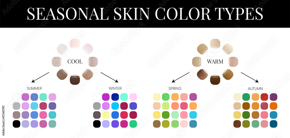 Seasonal Skin Color Analysis Palette with Color Swatches Stock Vector ...