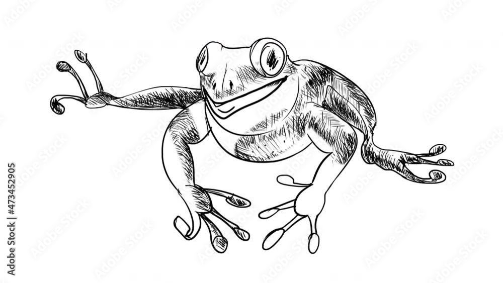 Self-drawing sketch of a jumping toad on a white background. An aquatic ...