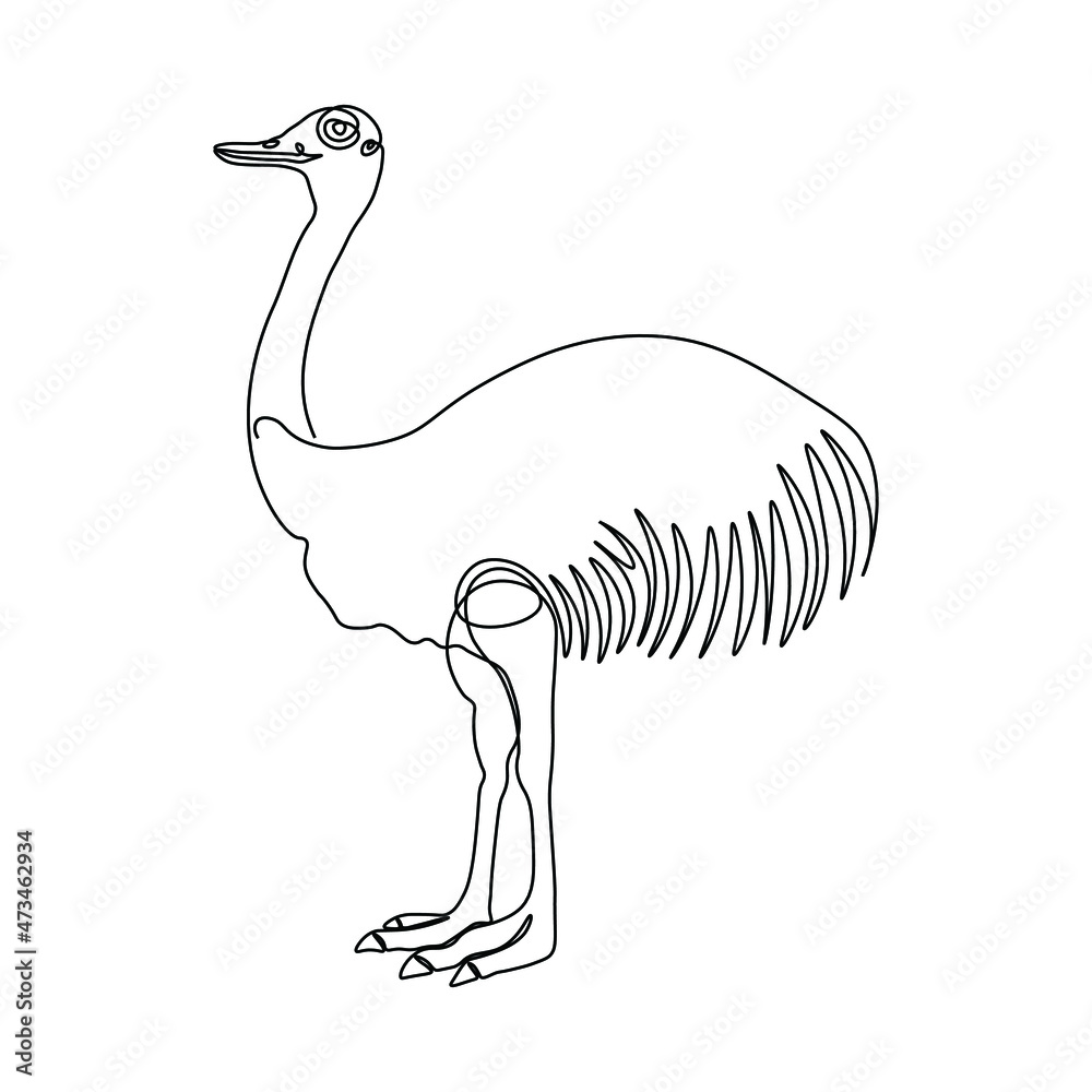 Ostrich face line drawing vector. Animal one line art. Flat design ...