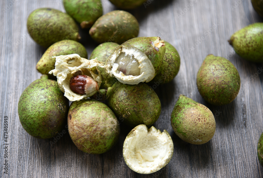 Pometia pinnata, with common names including matoa, taun tree, island ...