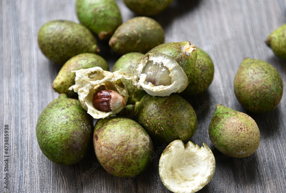 Pometia pinnata, with common names including matoa, taun tree, island ...