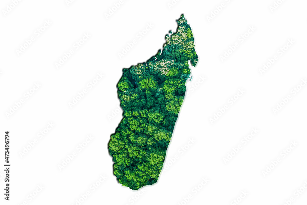 Green Forest Map of Madagascar Stock Photo | Adobe Stock