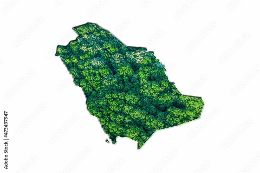 Green Forest Map of Saudi Arabia Stock Photo | Adobe Stock
