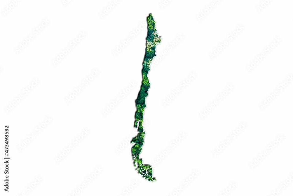 Green Forest Map of Chile Stock Photo | Adobe Stock