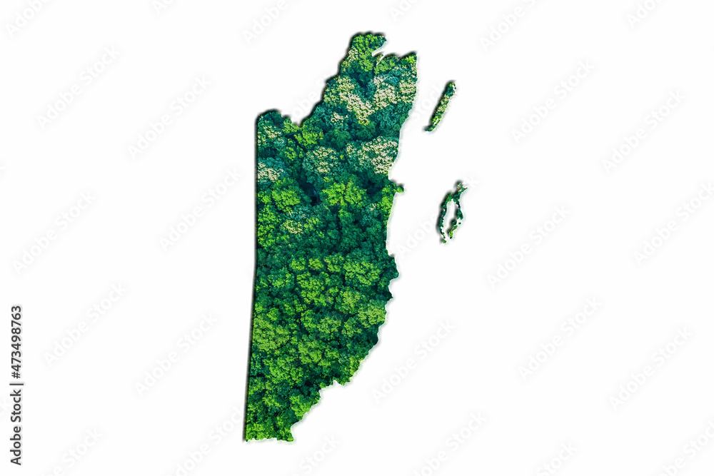 Green Forest Map of Belize Stock Photo | Adobe Stock
