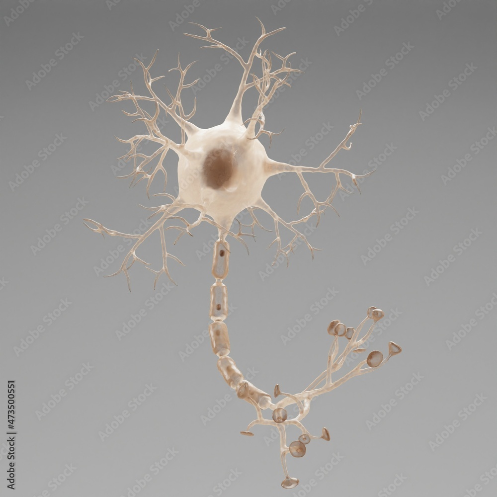 Realistic 3D Render of Neuron Stock Illustration | Adobe Stock