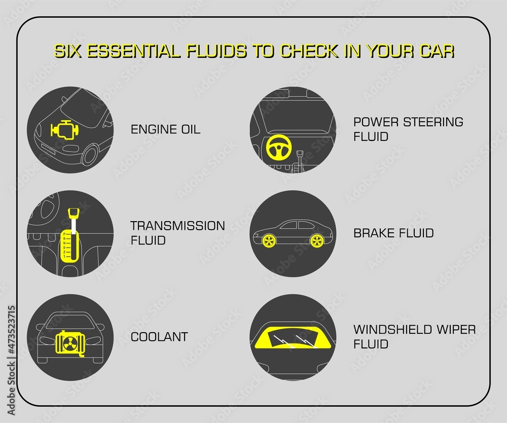 Checklist. Six essential fluids to check in your car. Infographics ...