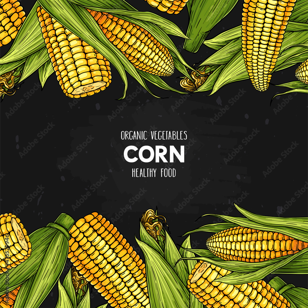 Hand drawn frame with corn. Organic legumes plant drawing with corn ...
