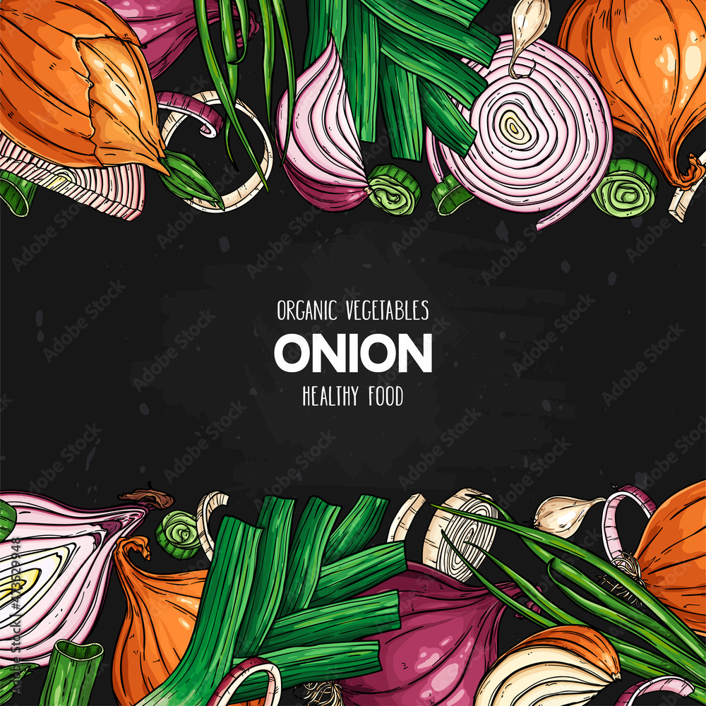 Hand drawn frame with onion. Organic plant drawing with onion Stock ...