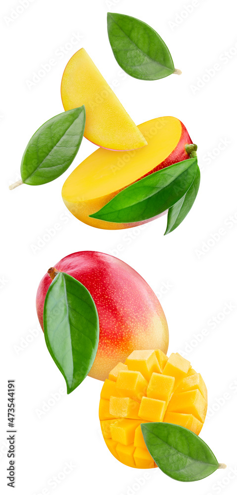 Flying mango with leaves. Organic mango isolated on white background ...