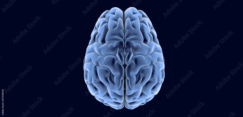 Digital generated image of blue brain on dark blue background. Blue ...