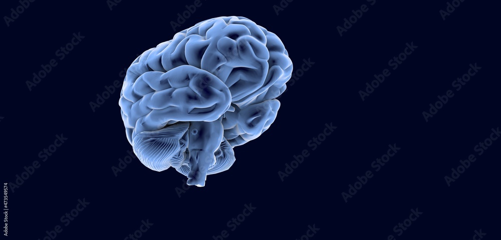 Digital generated image of blue brain on dark blue background. Blue ...