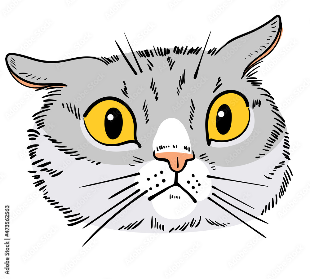 Cat portrait drawing. Awesome cat. Cartoon characters. Funny vector ...