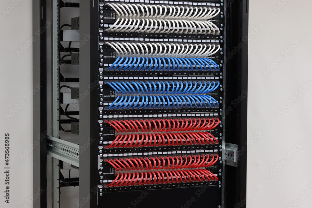 Ethernet switches connected by patch cords to patch panels in the ...