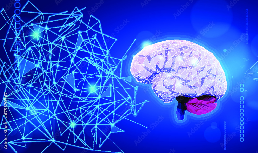 Brain illustration showing connections using lines and triangles for a ...