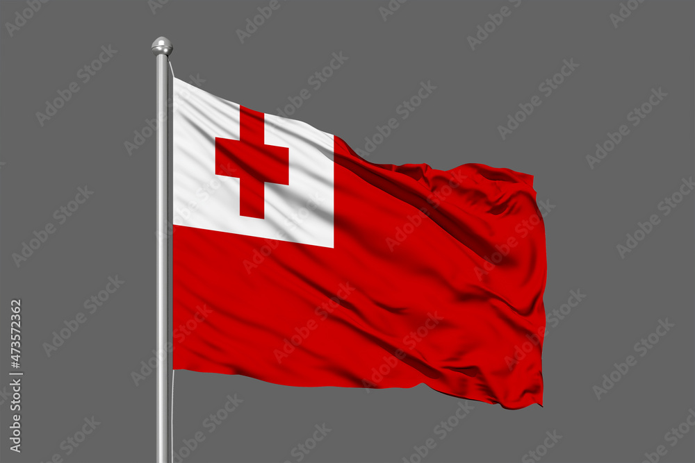 Tonga Wafing Flag Stock Illustration | Adobe Stock