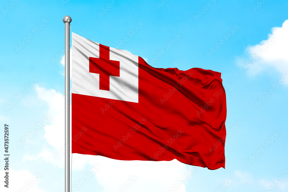 Tonga Wafing Flag Stock Illustration | Adobe Stock