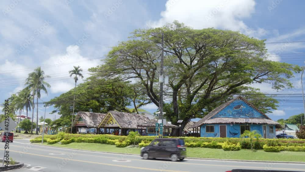 Downtown Koror, Palau. Big tree, traditional style buildings and mid ...