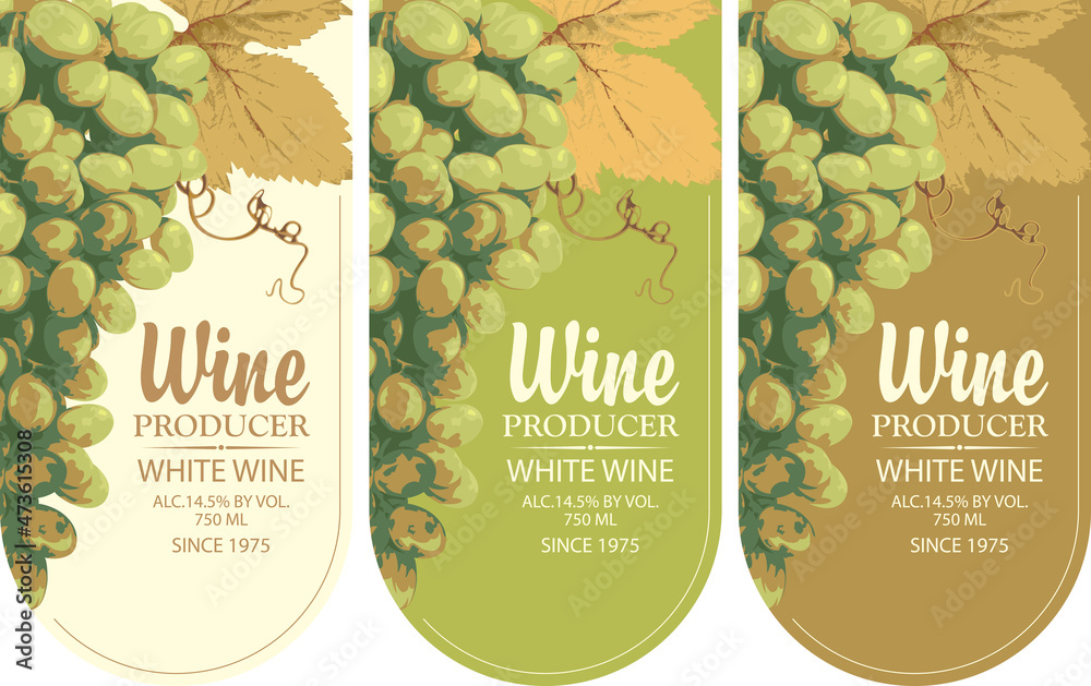Set of labels for a white wine with realistic bunches of delicious ...