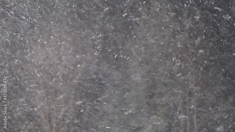 Real snow, falling snow blizzard, on the background of the night sky ...