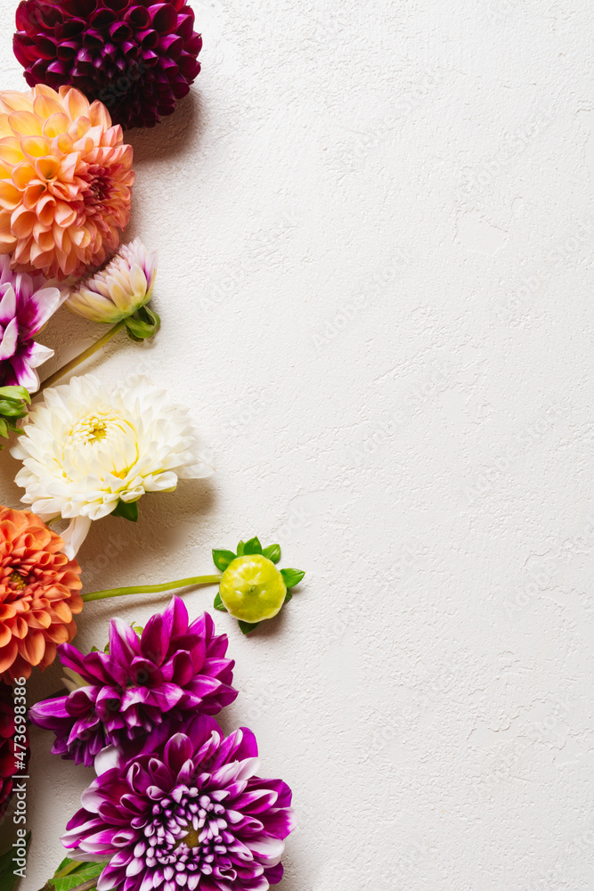 Colorful dahlia floral border Stock Photo | Adobe Stock